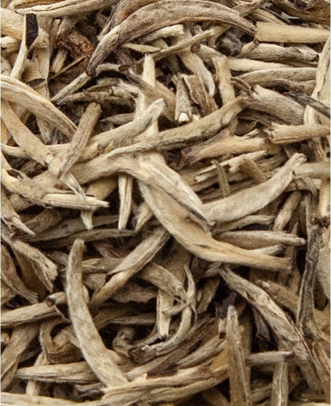 Thé Blanc Chinois d'exception Bai hao yin Zhen 白毫银针 Unami Maison de Thé